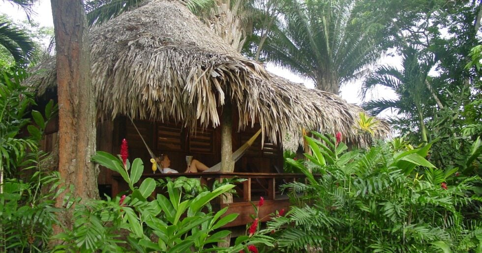 The Best Jungle Lodges in Belize - A Comprehensive 2023 Guide